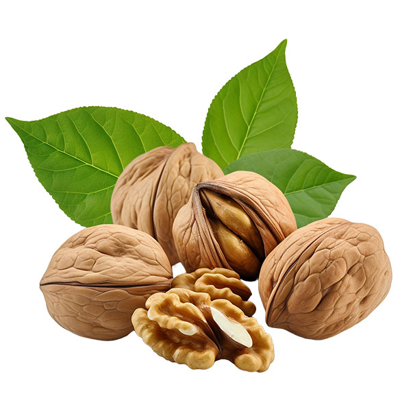 Nut Studio – Where quality meets flavor in every bite